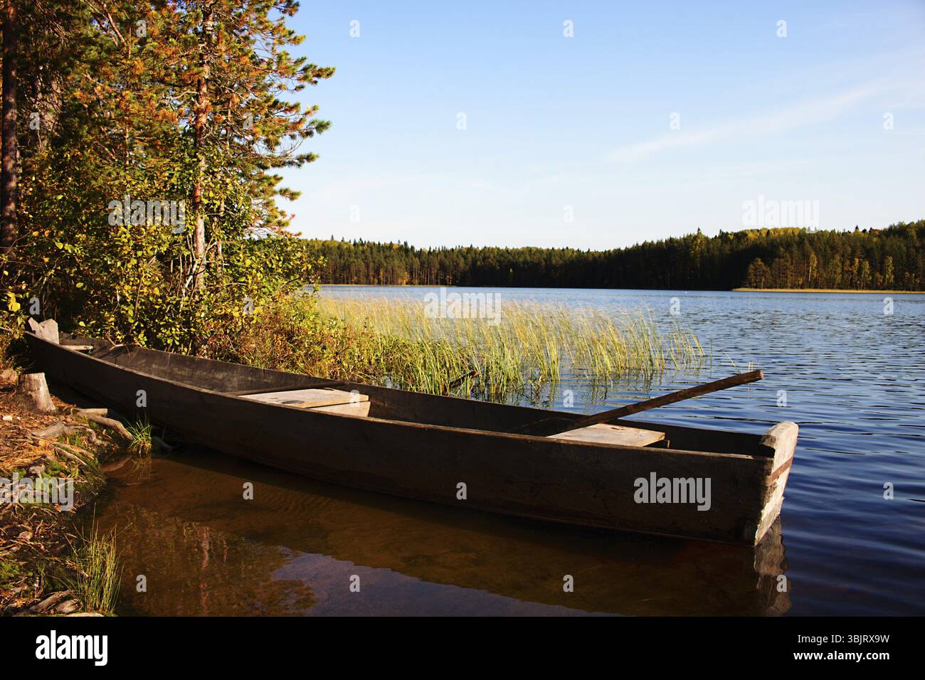 Lake boat, dugout, old canoe on forest lake. Boats are traditionally ...