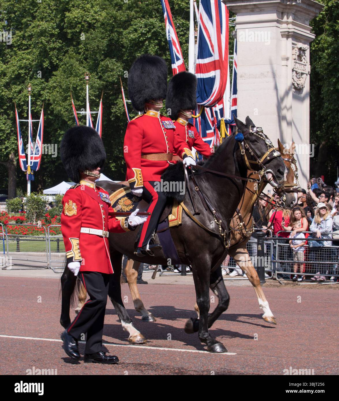Grenadier Guards Officers Trooping The Colour Color The Mall ...
