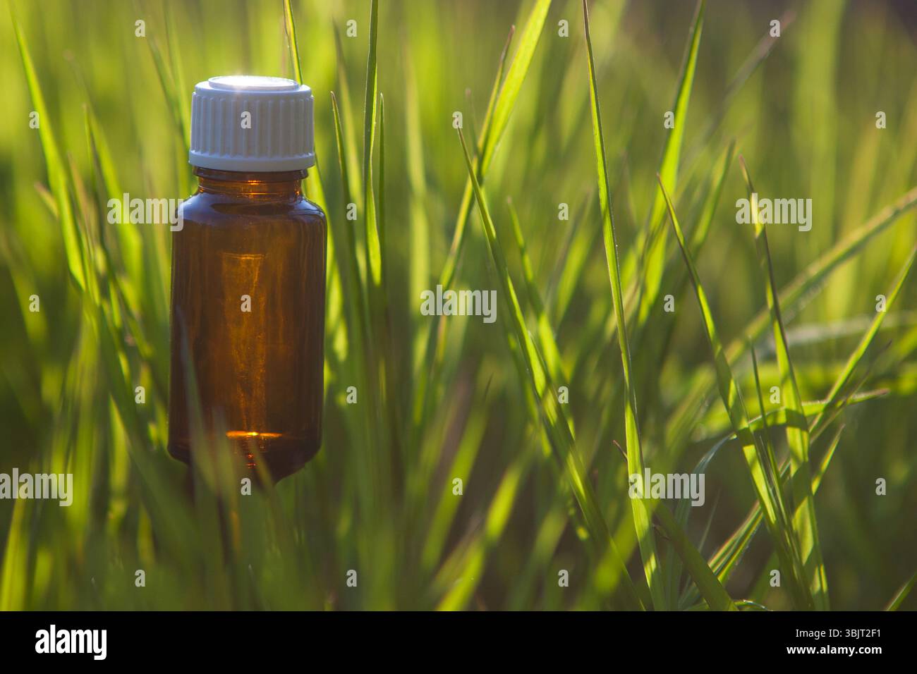 Tall grass product hi-res stock photography and images - Alamy