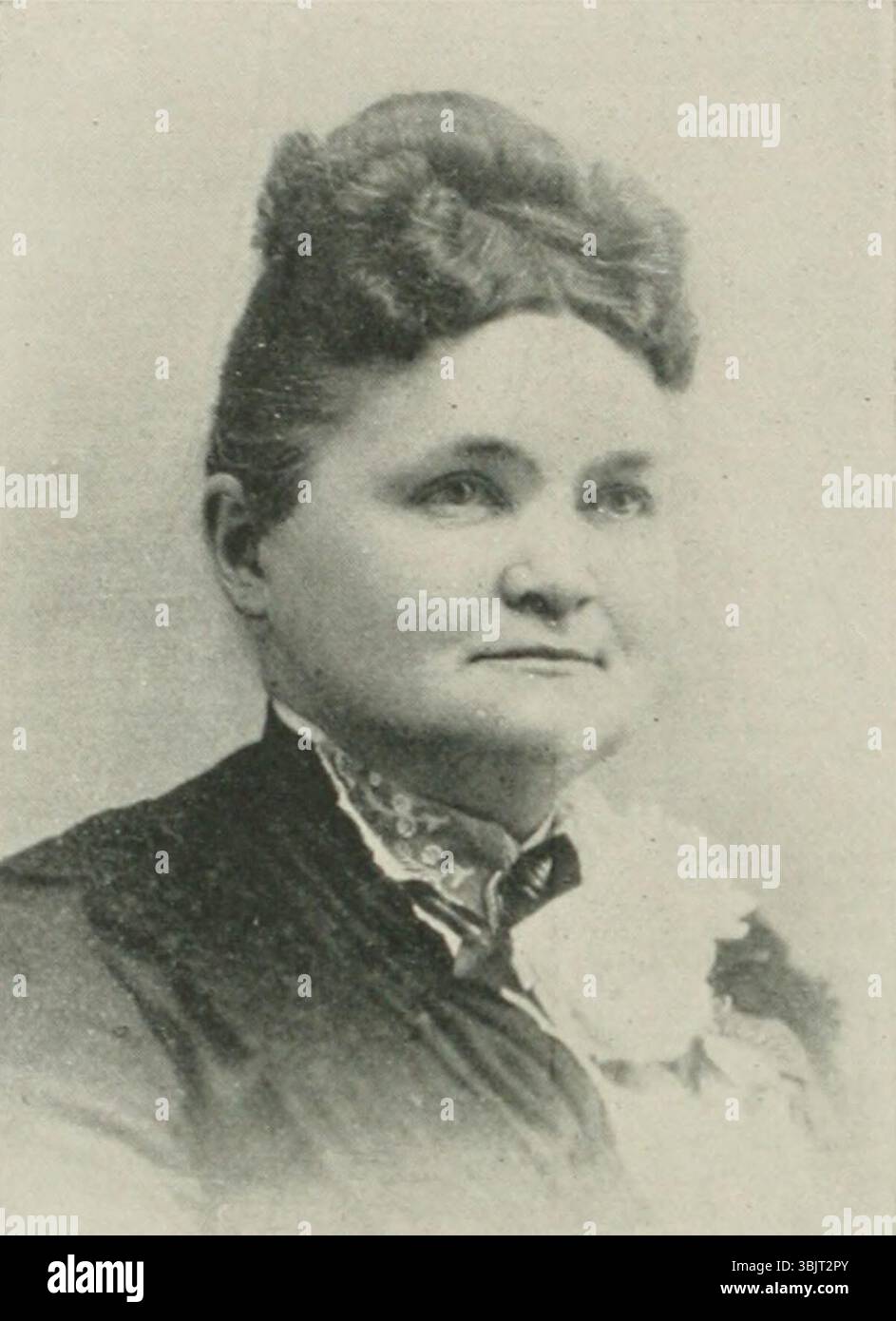 LAURA A. SUNDERLIN NOURSE A woman of the century (page 552 crop Stock ...