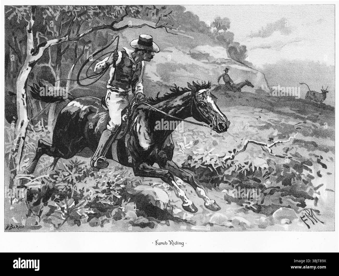 Australian scrub Black and White Stock Photos & Images - Alamy