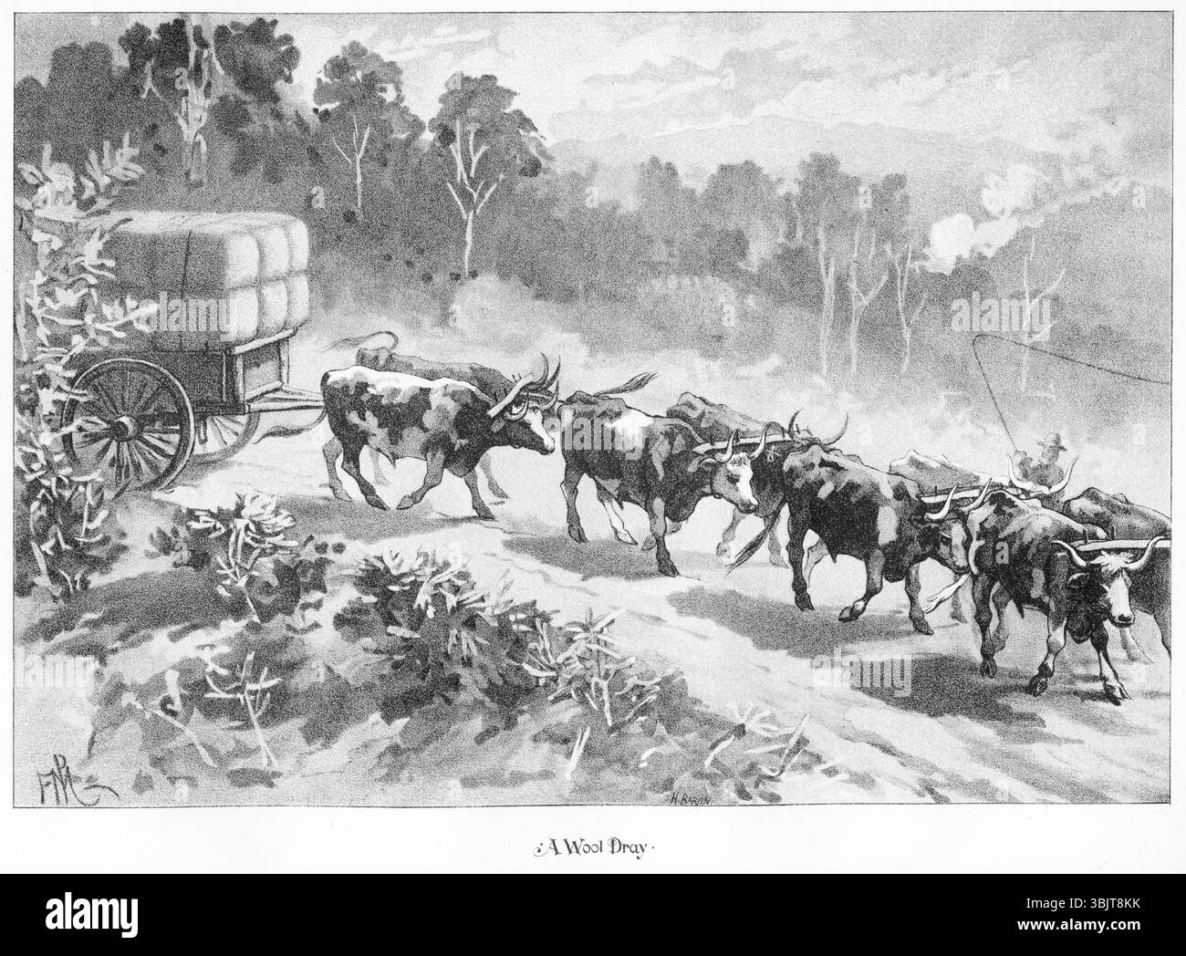 Typical Australian wool dray carting bales of wool to market, from the ...