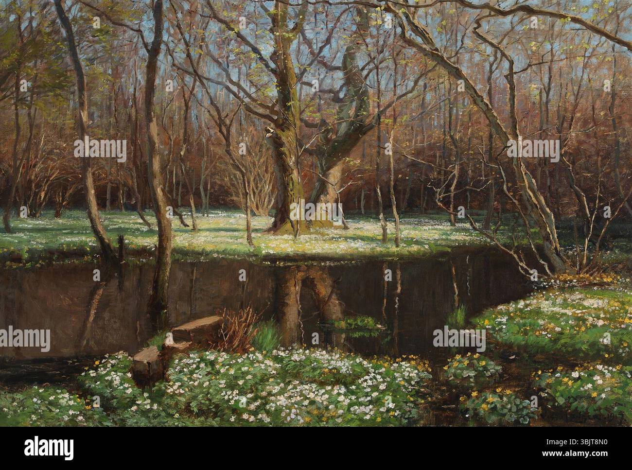 Viggo Langer - Skovparti med blomstrende anemoner - 1917 Stock Photo ...