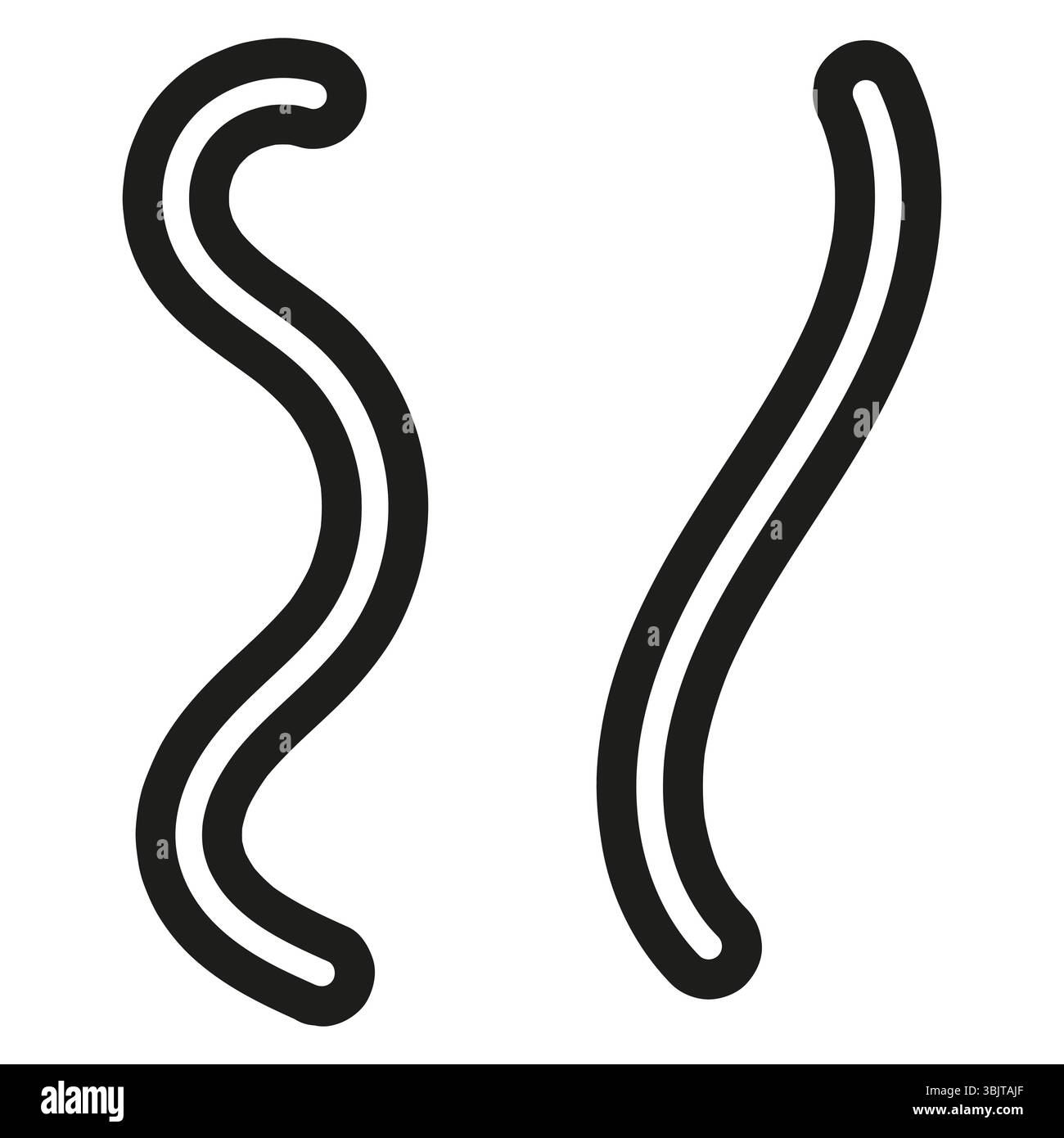 Wavy line illustration. Curved stripe element. Vector contour form ...