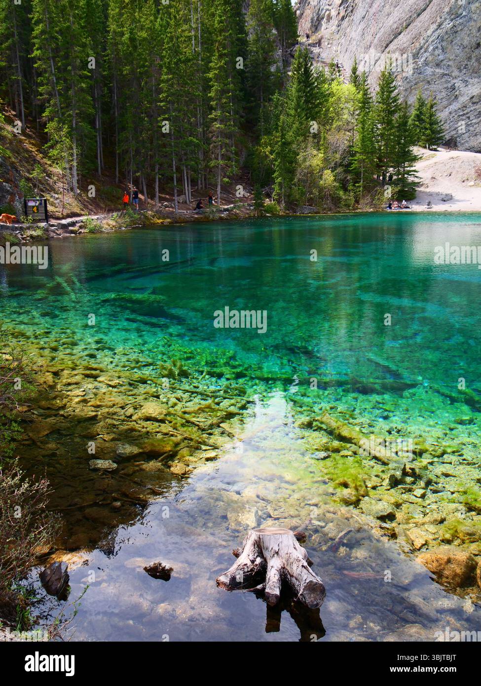 The crystal-clear water of Grassi lakes in Kanaskis country, Alberta ...