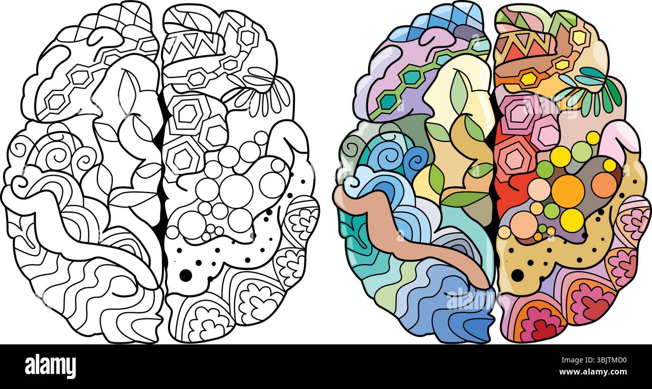 Brain image in zentangle style for coloring. Color and outline set ...