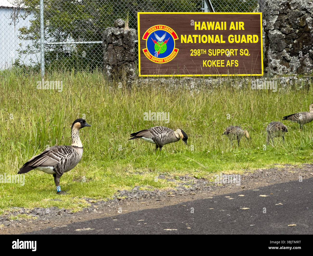 Enduring guard hi-res stock photography and images - Alamy