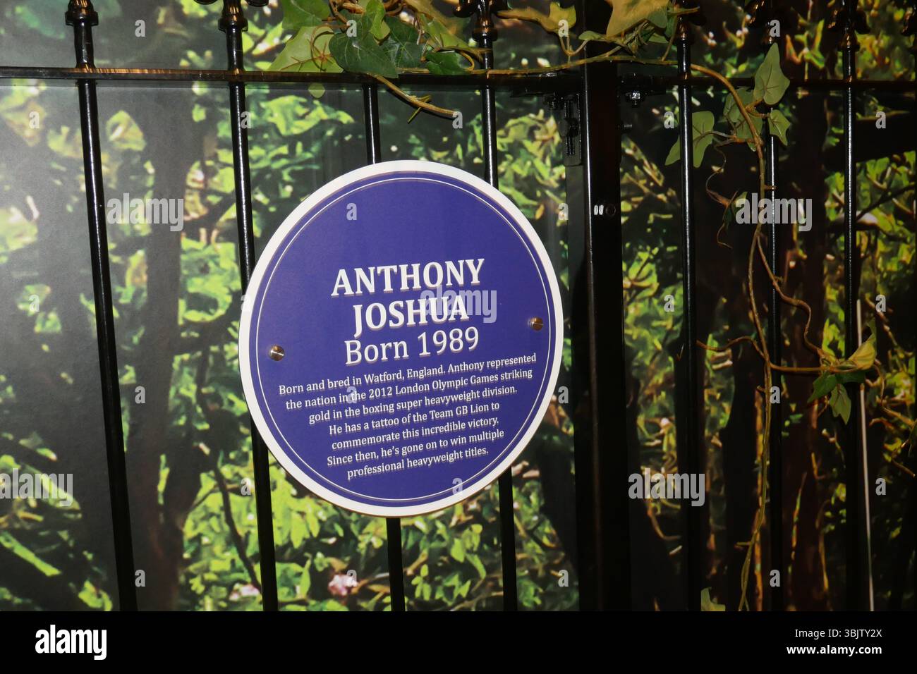 London, England 1st June 2025 Boxer Anthony Joshua Wax Figure at Madame ...