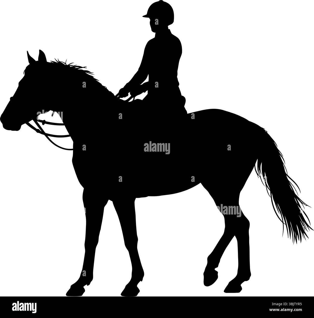 Horseback riding silhouette shows equestrian sport activity black ...