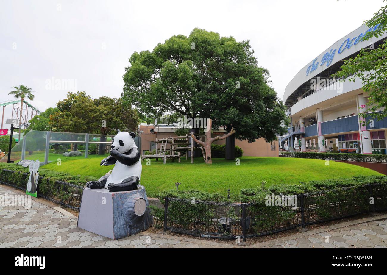 A photo shows Adventure World's breeding center in Shirahama Town ...