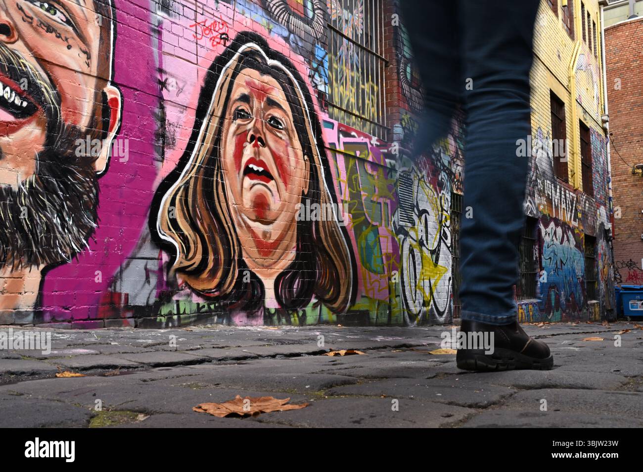 Melbourne, Australia. 17th June, 2025. A mural of Erin Patterson is ...