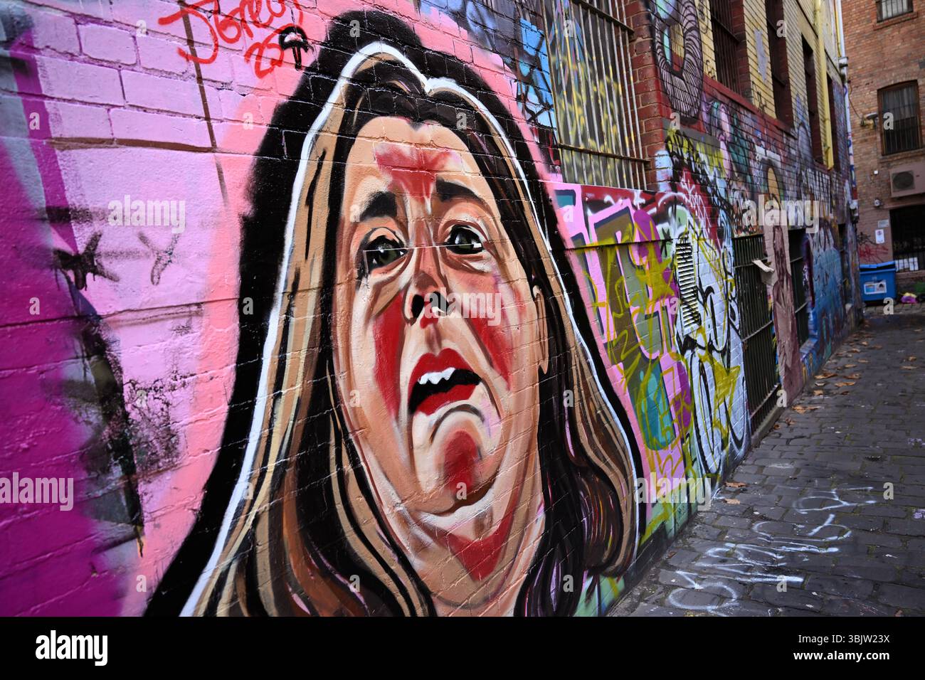Melbourne, Australia. 17th June, 2025. A mural of Erin Patterson is ...