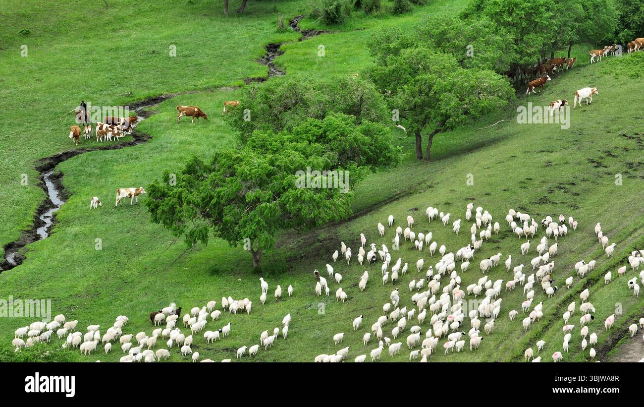 (250617) -- BEIJING, June 17, 2025 (Xinhua) -- An aerial drone photo ...