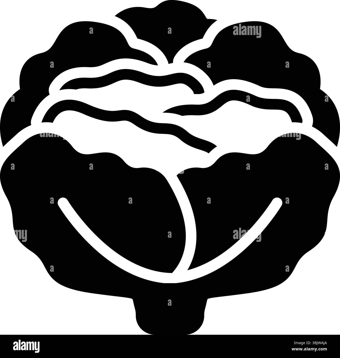 Cabbage silhouette Black and White Stock Photos & Images - Alamy