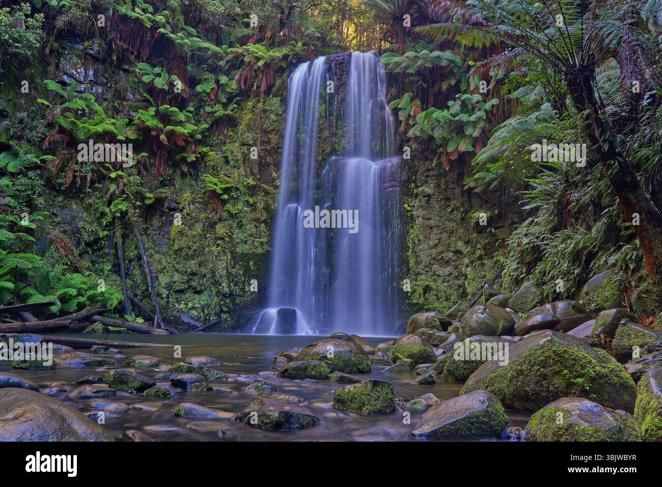 Long exposure of Beauchamp Falls waterfall cascade in fern gully rainforest inthe Great Otway ...
