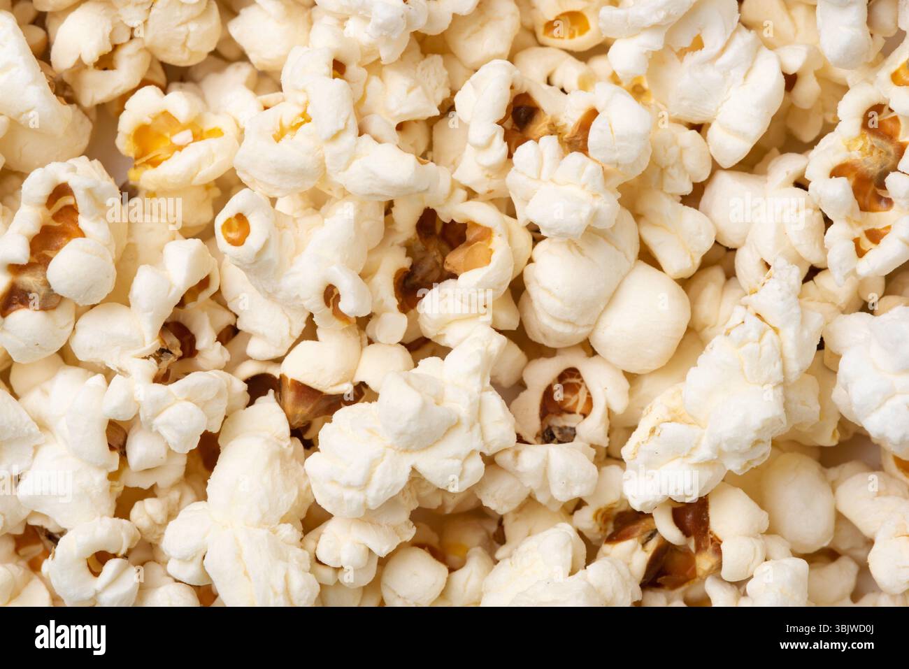 The salt path film hi-res stock photography and images - Alamy