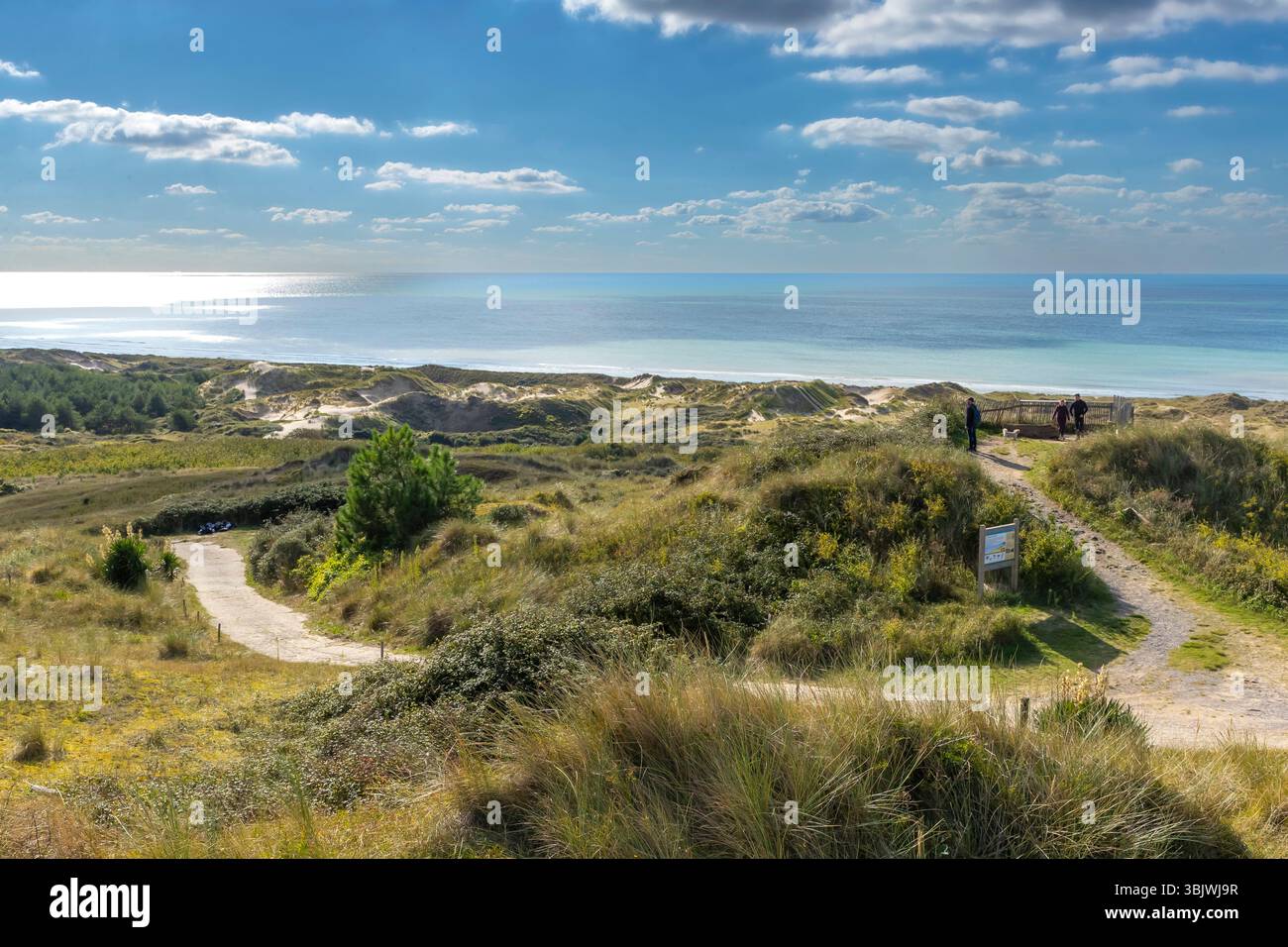 Saint-Etienne-au-Mont (northern France): the Dunes site and the Ecault ...