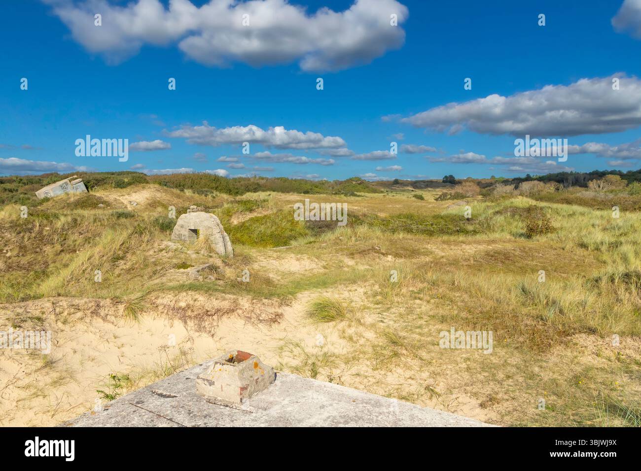 Saint-Etienne-au-Mont (northern France): the Dunes site and the Ecault ...