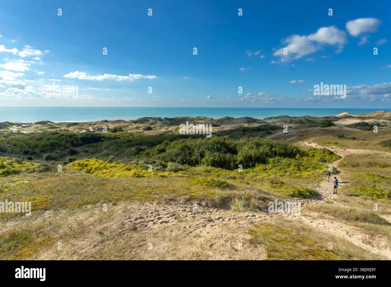 Saint-Etienne-au-Mont (northern France): the Dunes site and the Ecault ...