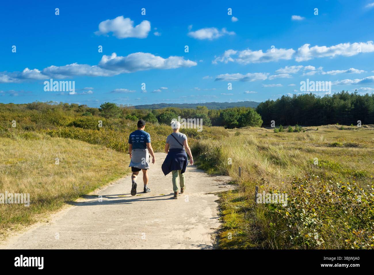 Saint-Etienne-au-Mont (northern France): the Dunes site and the Ecault ...