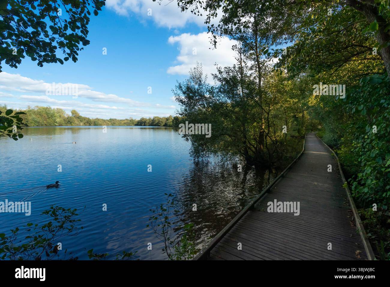 Condette (northern France): “Lac des Miroirs” (Mirrors Lake) or Lake ...