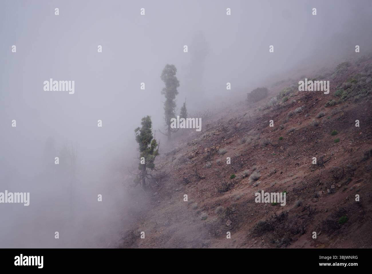 Mist fog over mountain hi-res stock photography and images - Alamy