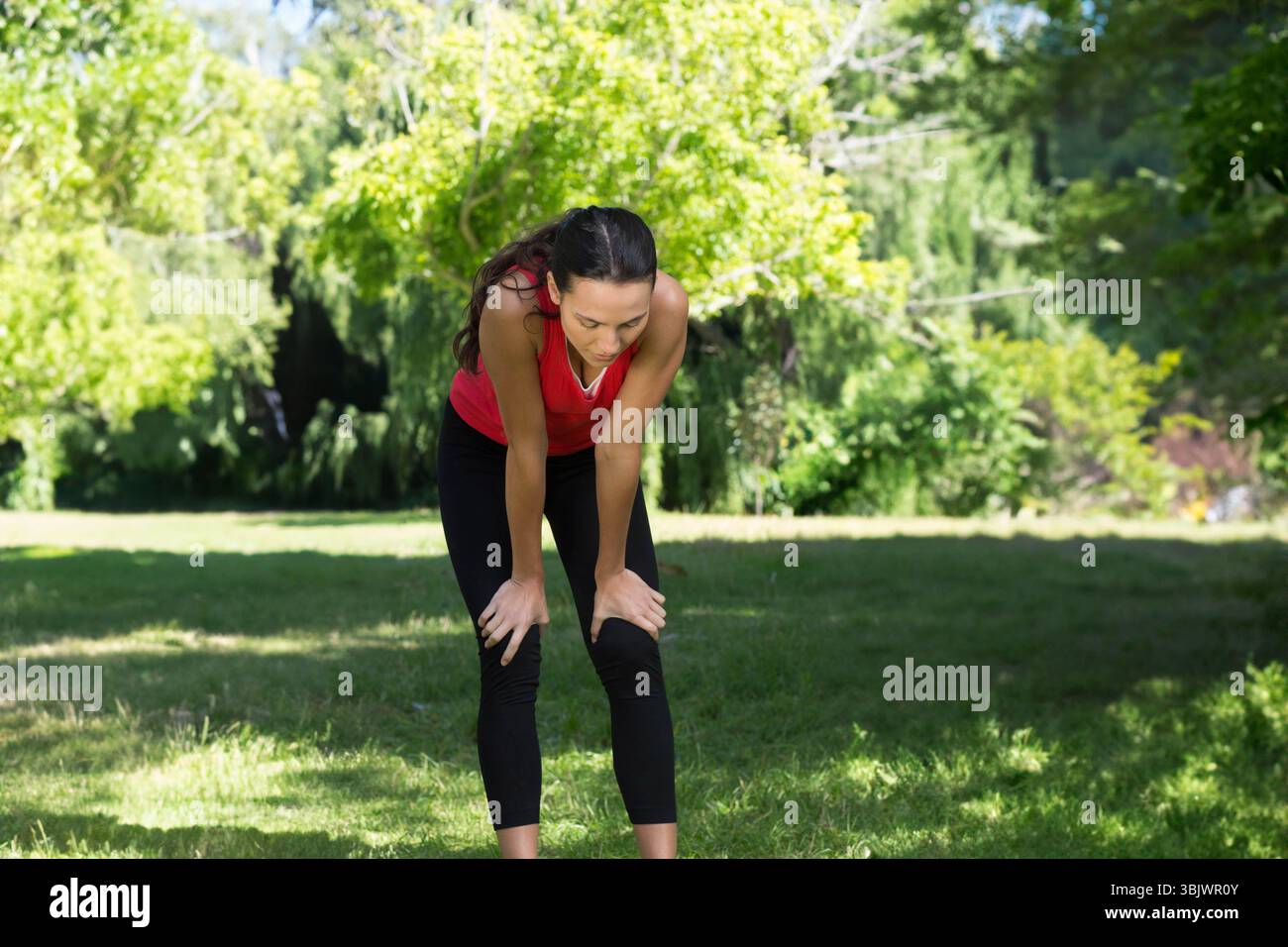 Female runner is leaning on knees, catching breath under sunlit trees ...