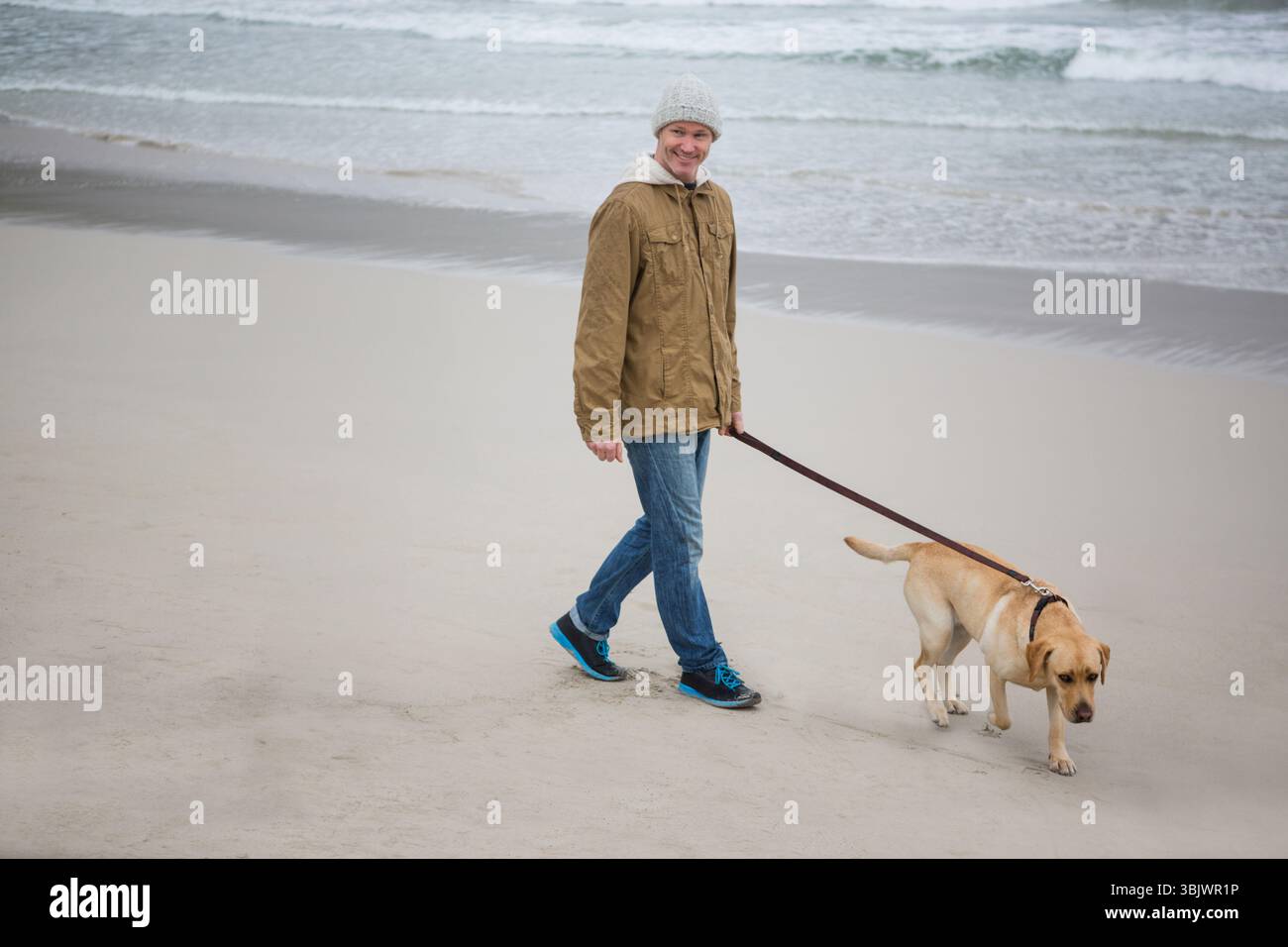 Man walking yellow Labrador dog along sandy shoreline under cloudy sky ...