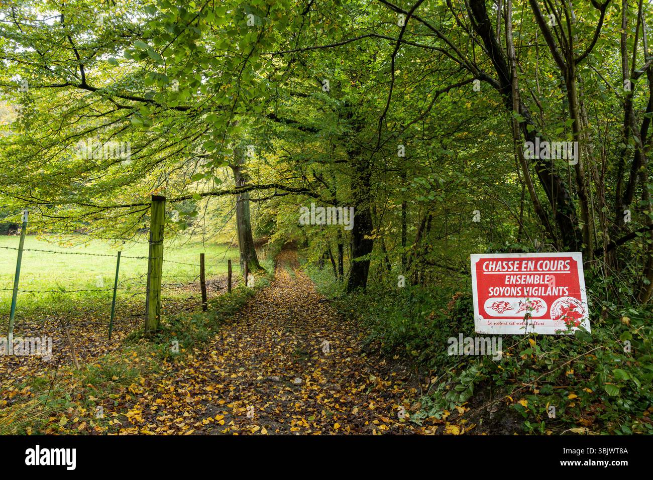 Sign "Caution - Hunting in Progress at the entrance to a forest road ...