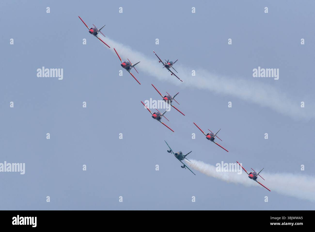 Final display of Patrulla Águila display team flying the CASA C101 ...