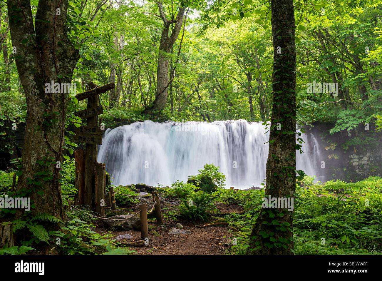 Choshi Otaki Waterfall, the most powerful waterfall on the Oirase ...