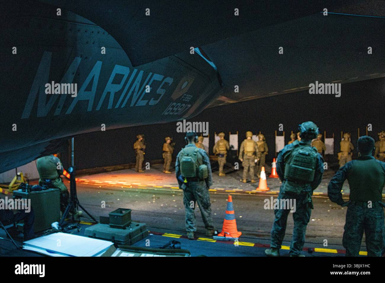 U.S. Marines with Animal Company, Battalion Landing Team 1st Battalion ...