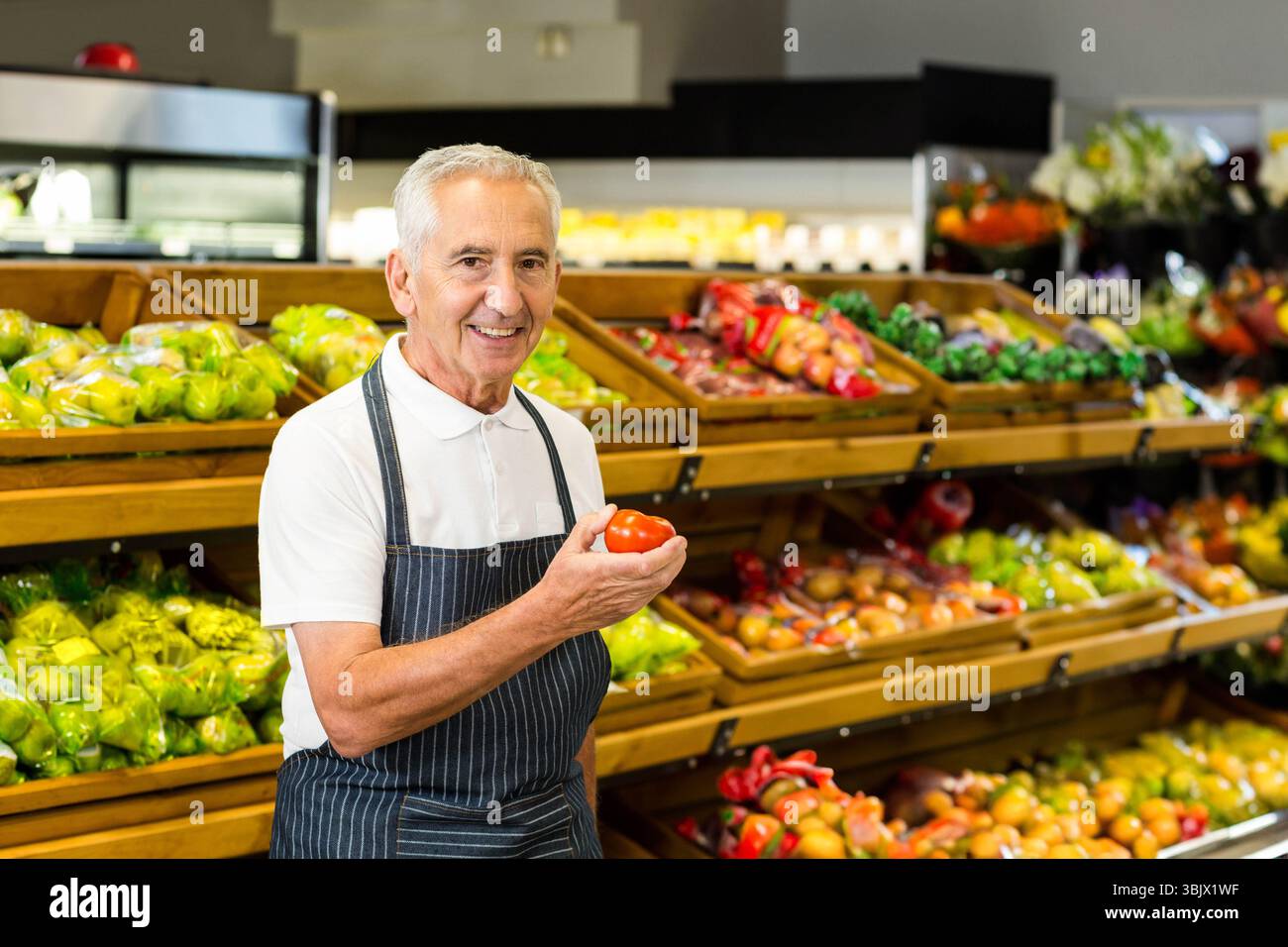 Senior male grocery store employee wearing apron holding red tomato ...