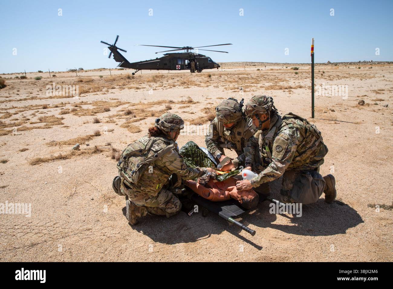 U.S. Army Soldiers assigned to the 352nd Field Hospital and the 872nd ...