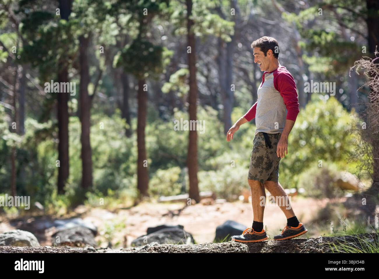 Walking on narrow tree trunk hi-res stock photography and images - Alamy