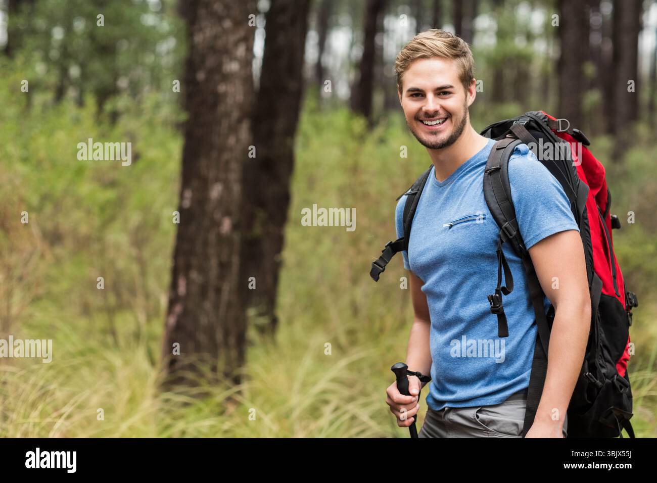 Man hiking on pine forest trail, carrying red black backpack and ...