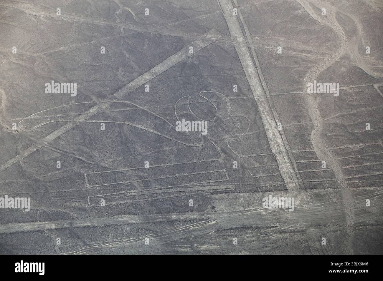 Aerial view of Nazca Lines - Parrot geoglyph, Peru Stock Photo - Alamy