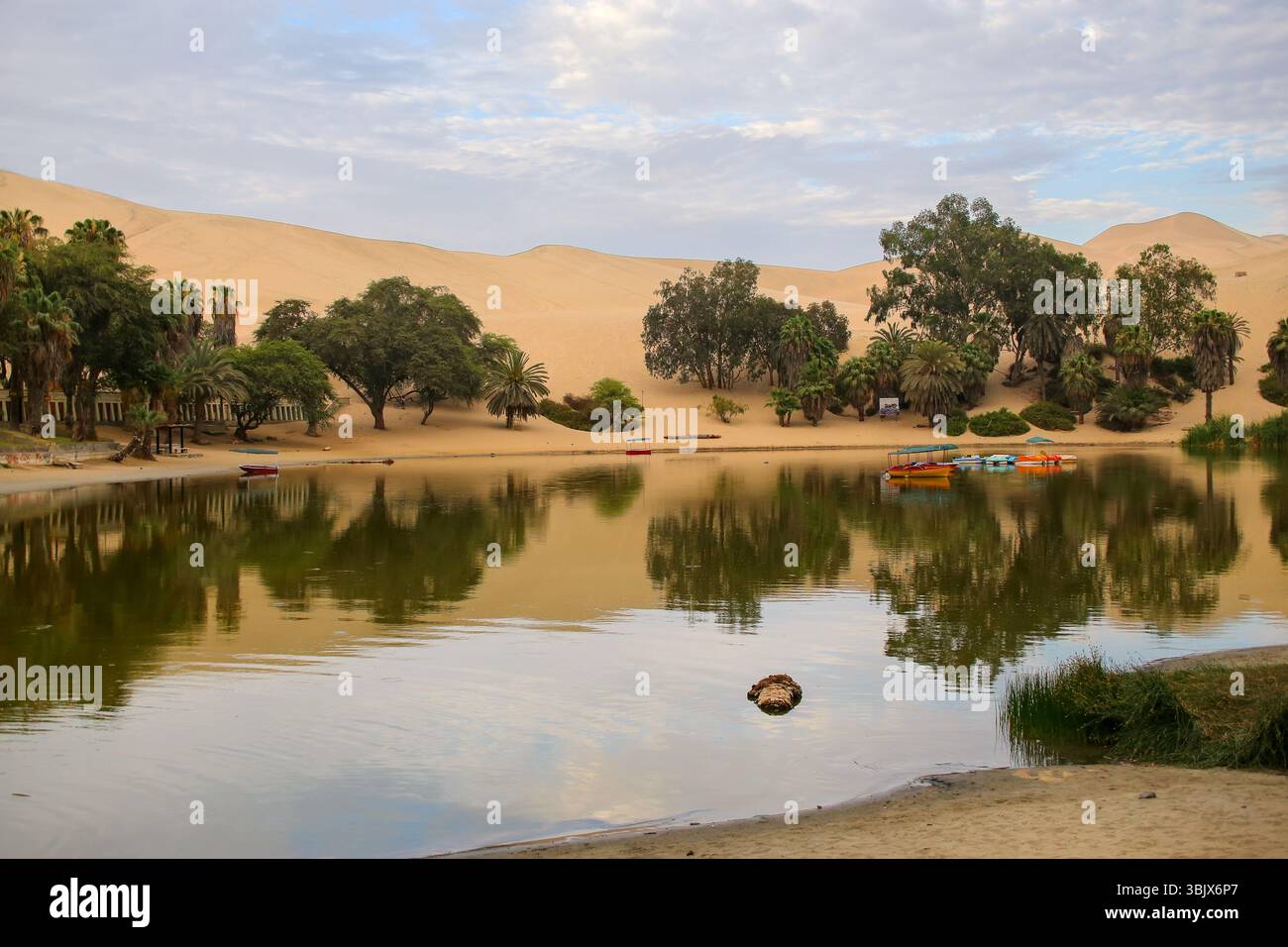Oasis of Huacachina, Ica region, Peru Stock Photo - Alamy