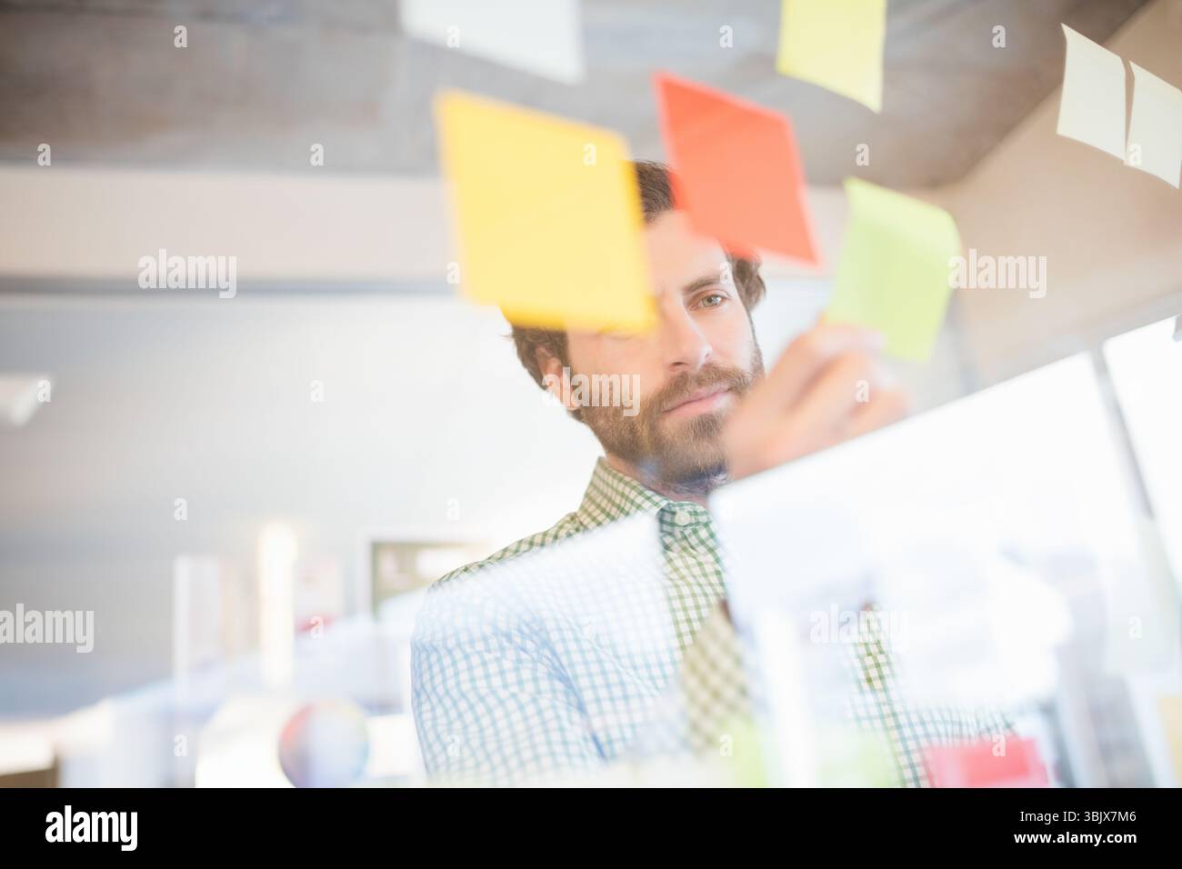 Multicolored sticky notes covering glass partition in office, with ...