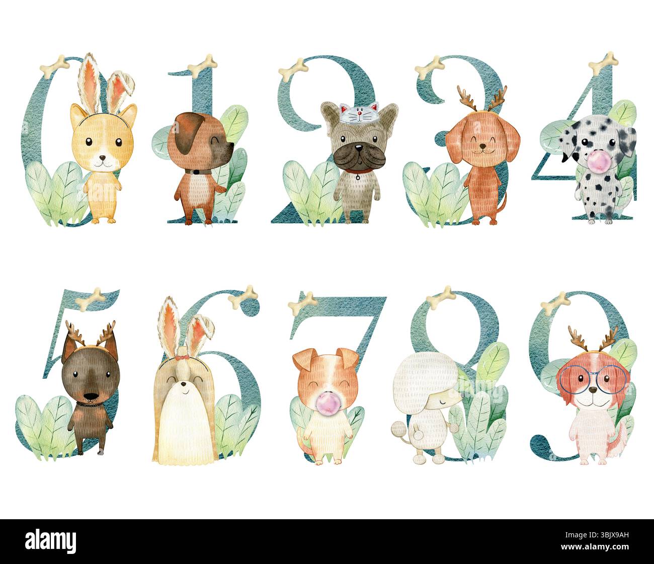 Watercolor dogs numbers Stock Photo - Alamy