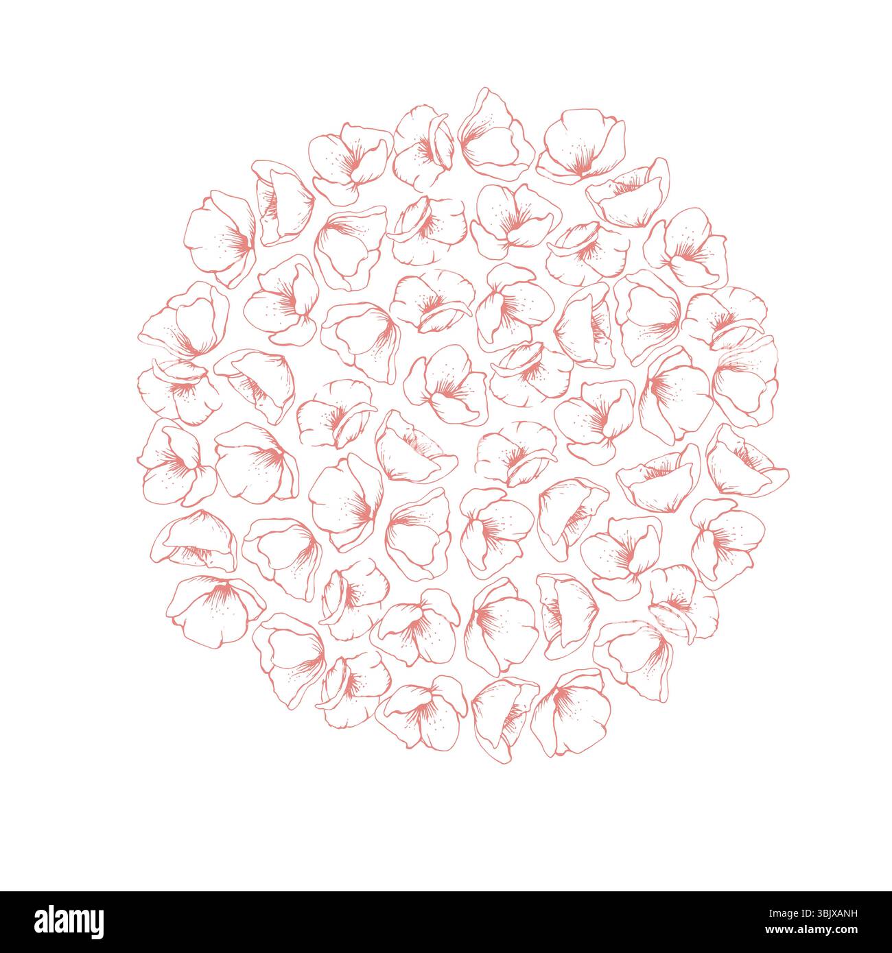 Red poppy in hand Cut Out Stock Images & Pictures - Alamy