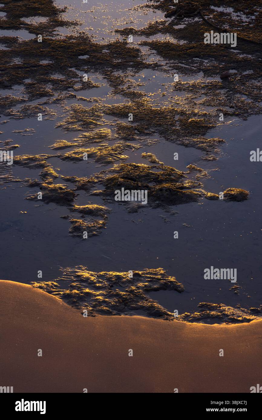 Soft golden light dances on tranquil waters as the shoreline meets the ...