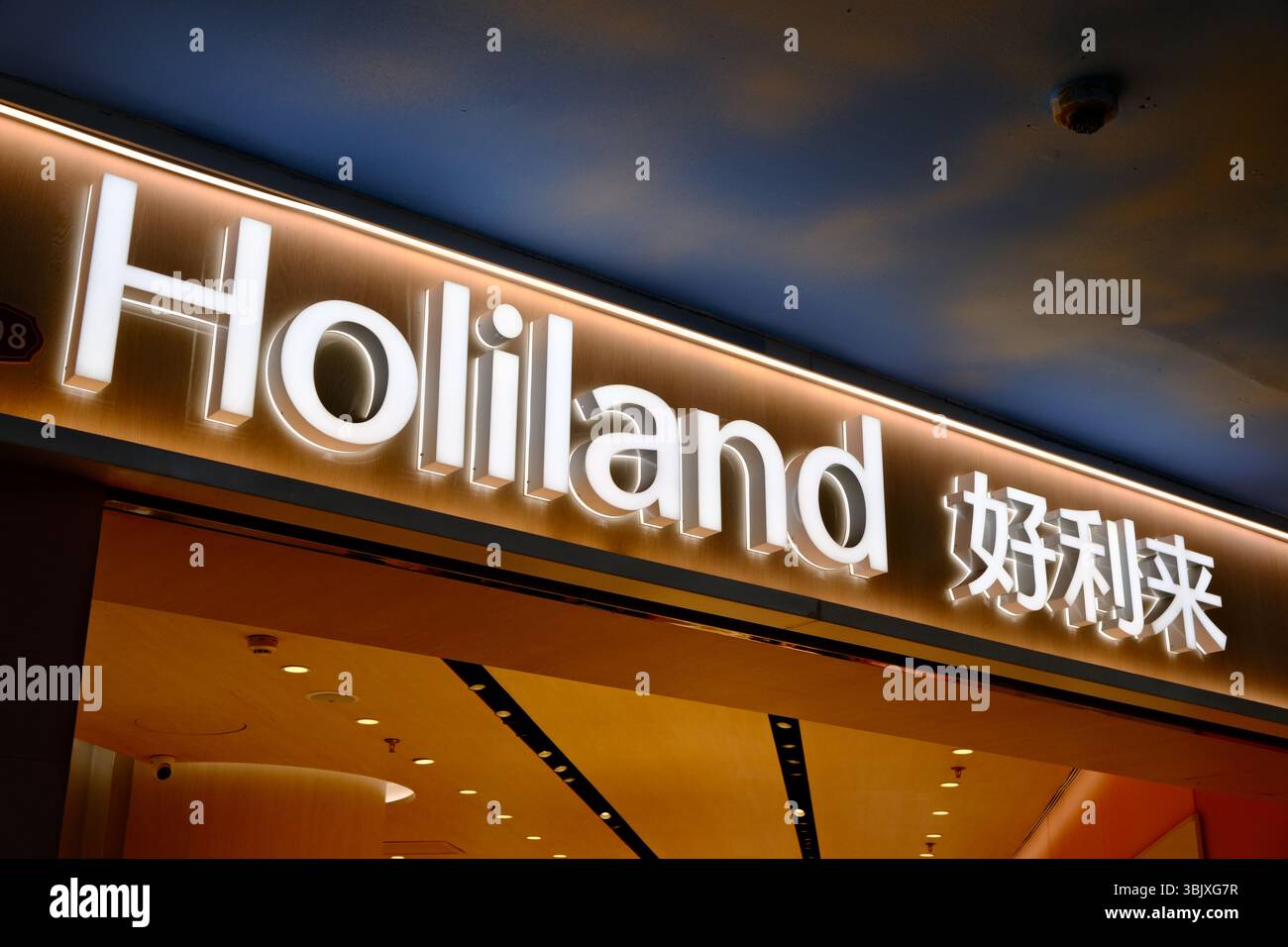 Shanghai,China-March 29th 2025: Holiland company brand logo Stock Photo ...