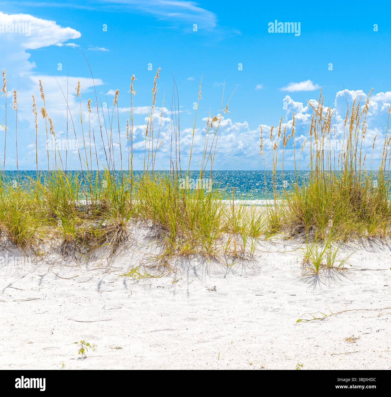 Sand beach sunny sky hi-res stock photography and images - Alamy