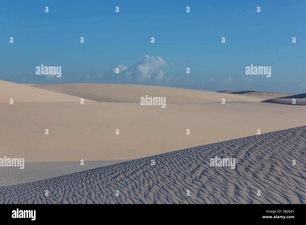 Lagoons in the desert of Lencois Maranhenses National Park, Brazil ...