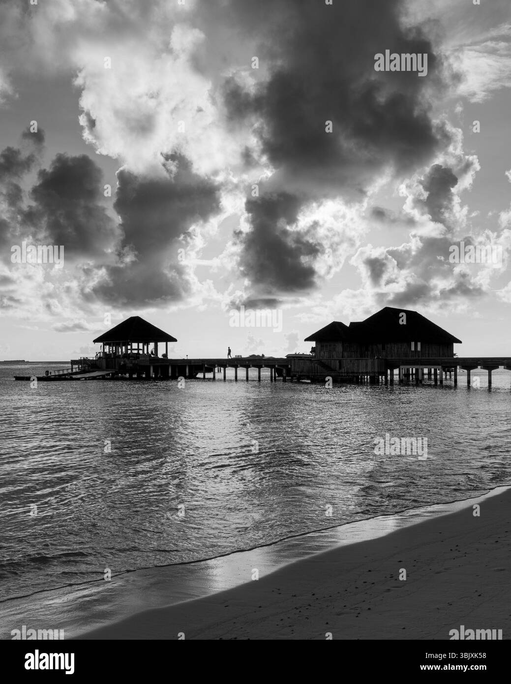 Seaside tropical landscape Black and White Stock Photos & Images - Alamy
