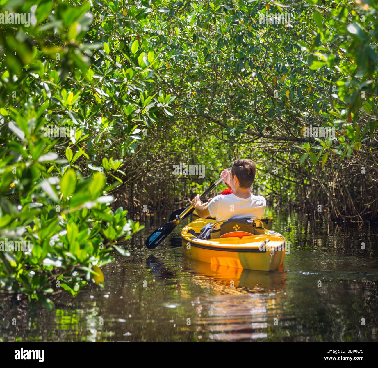Kayaking trail hi-res stock photography and images - Alamy