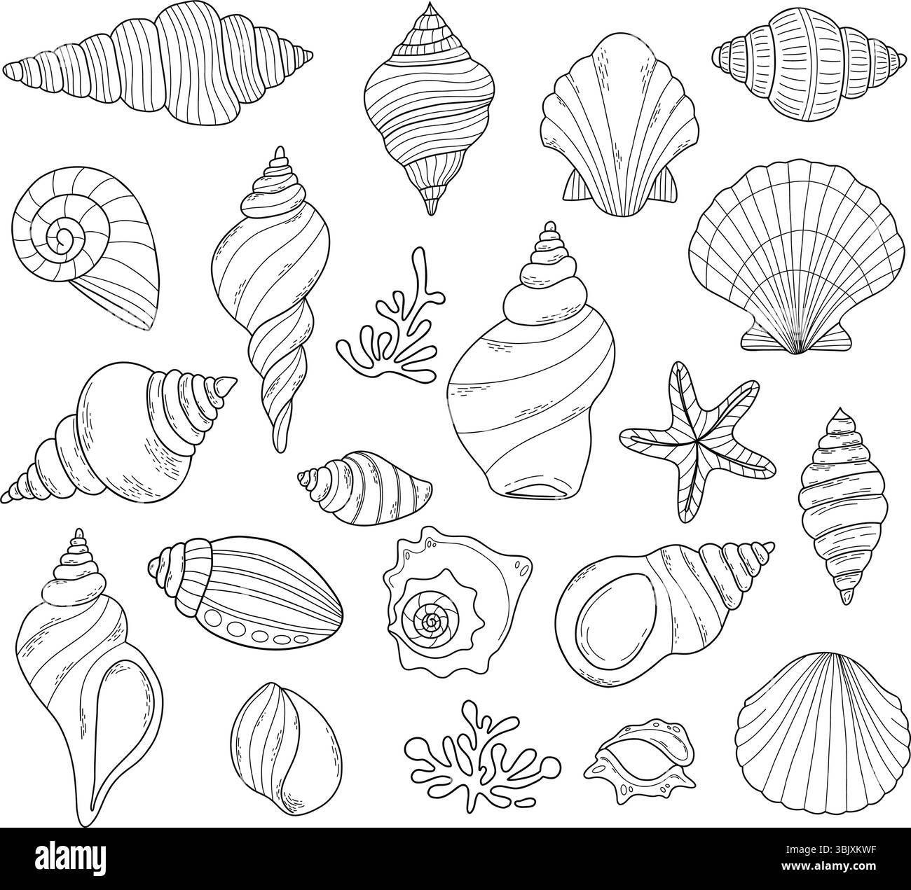 Outline Shell set. Isolated underwater sea conch, star and corals ...