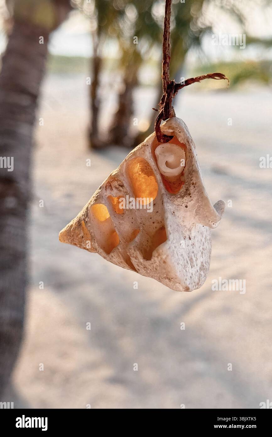 Maldives beach hi-res stock photography and images - Alamy