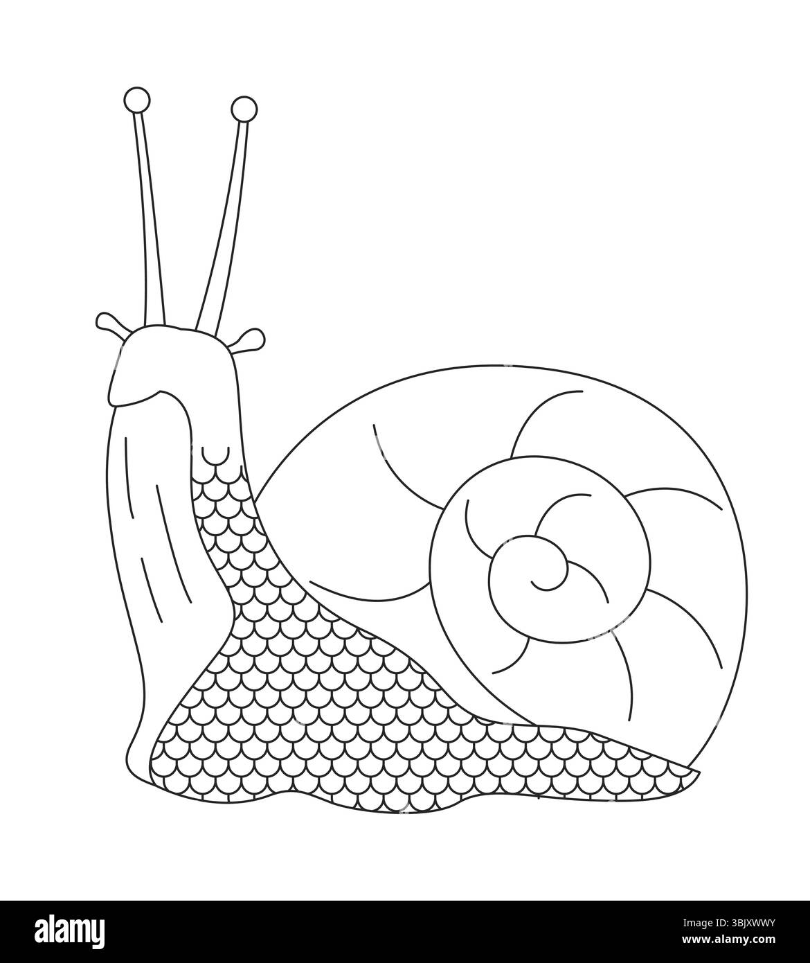 Snail slug line art Stock Vector Images - Alamy